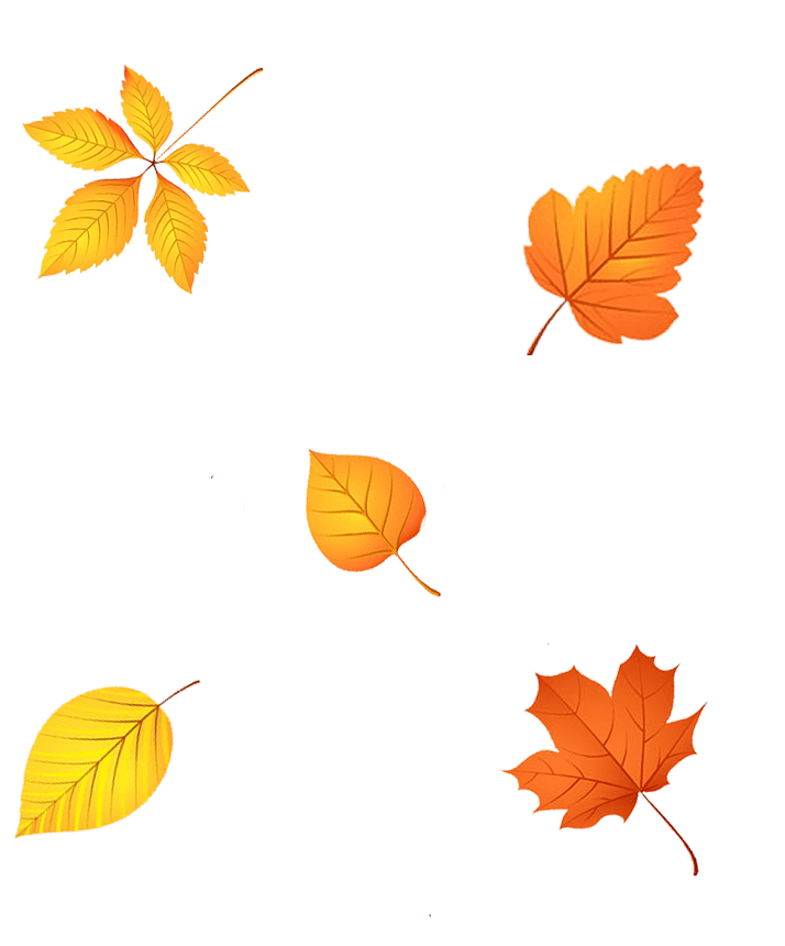 pattern_otonio1@2x-min - Dibujando con Vani